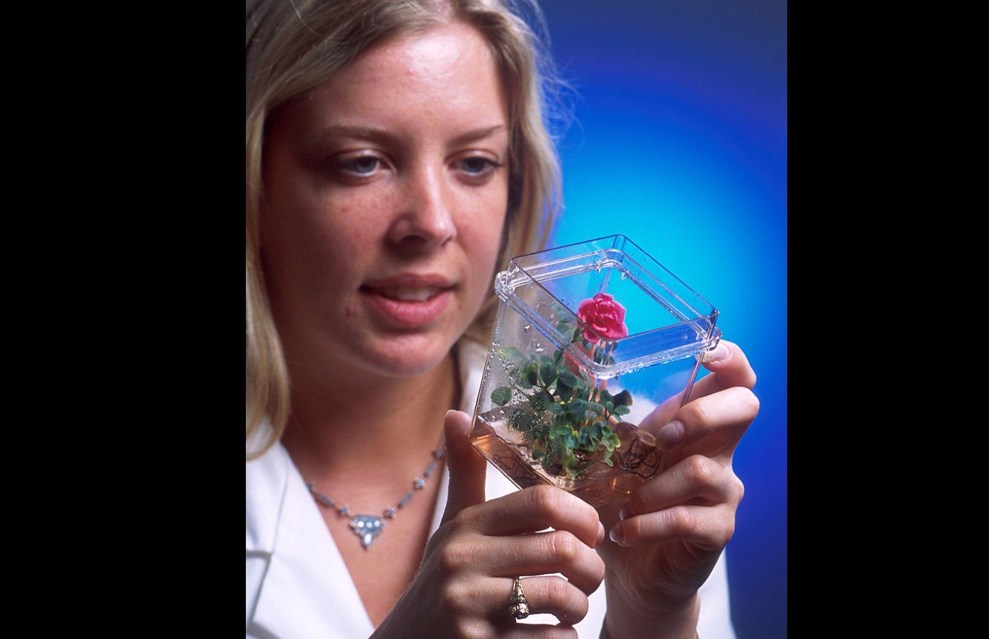 Definition Of Biotechnology History Types And Examples Of Its