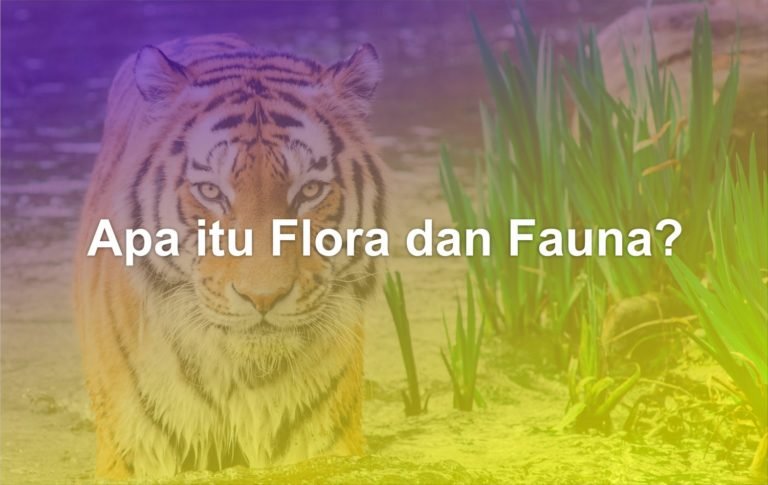 Apa Itu Flora Dan Fauna? - Matob
